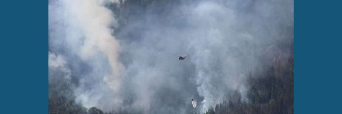 Wildfire Knowledge Network Docuseries