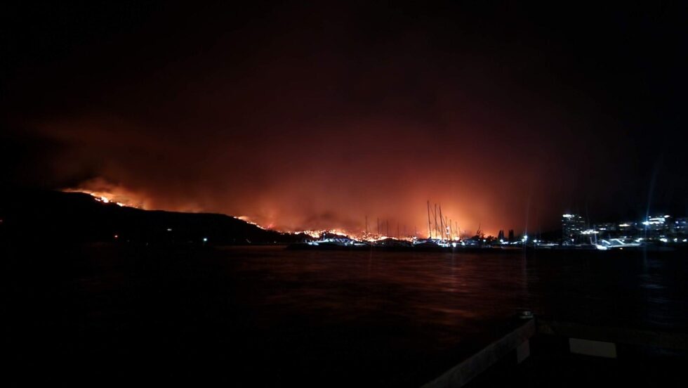 Preparing Your Organization for the 2025 Fire Season - GTEC Green ...